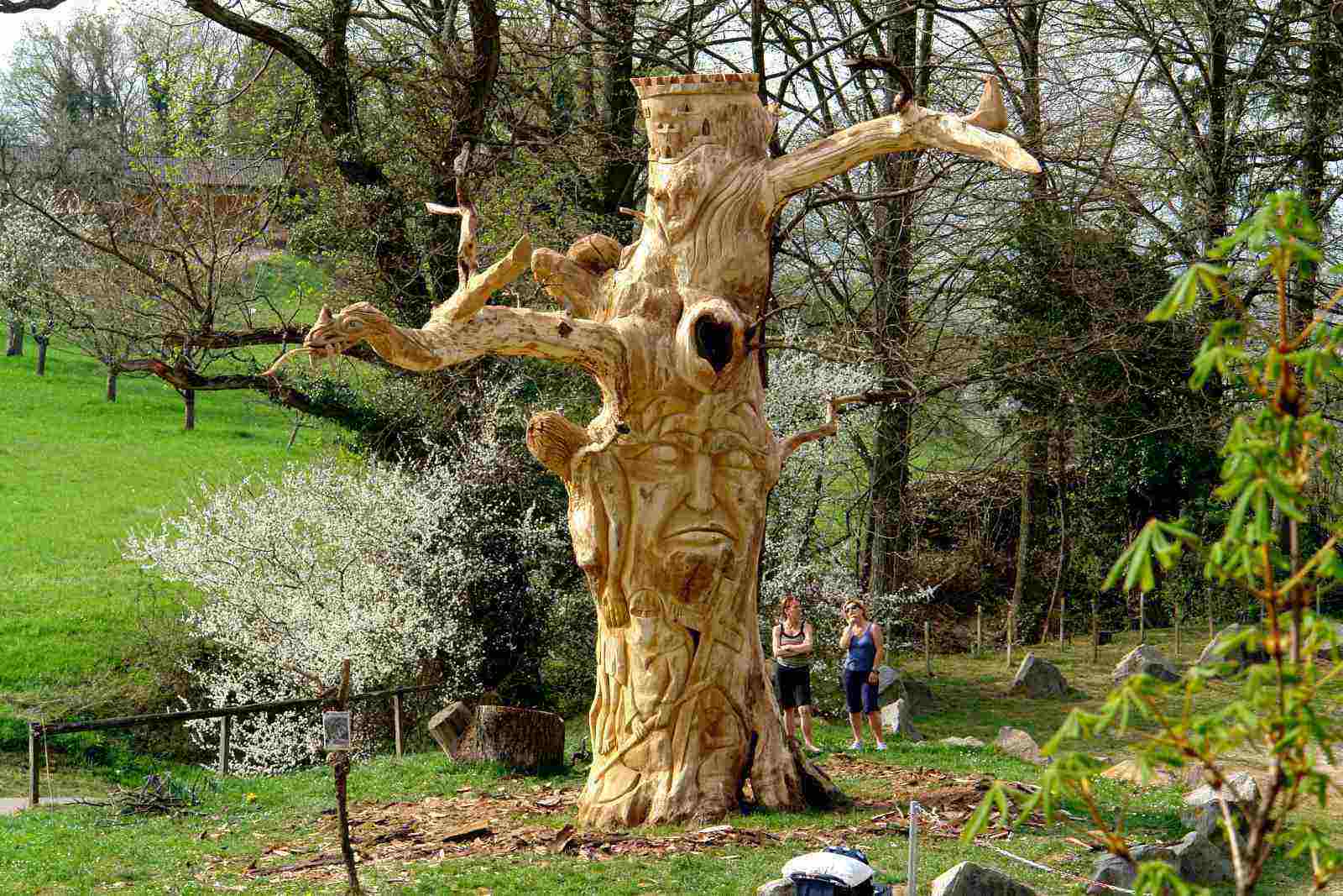 thomas rees – home – Skulpturen Installationen Projekte